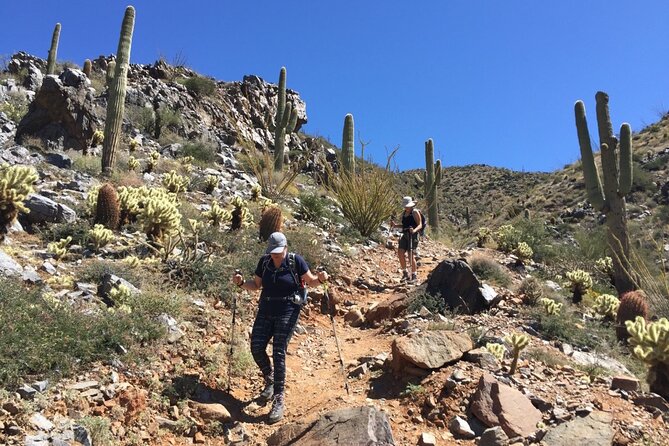 Scottsdale Desert Classic Guided Hiking Adventure - The Sum Up: Is This Tour Worth It?