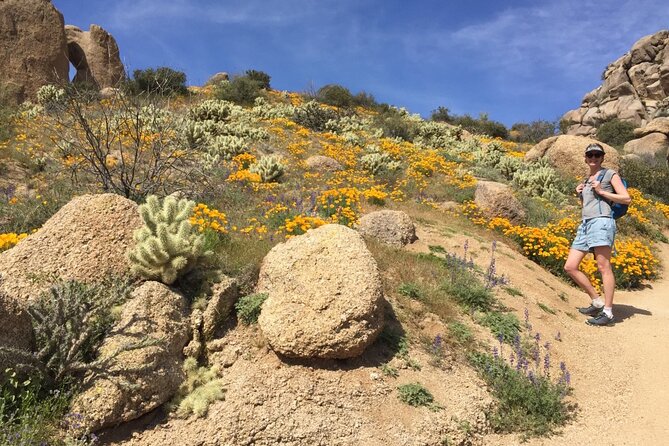 Scottsdale Desert Classic Guided Hiking Adventure - FAQ