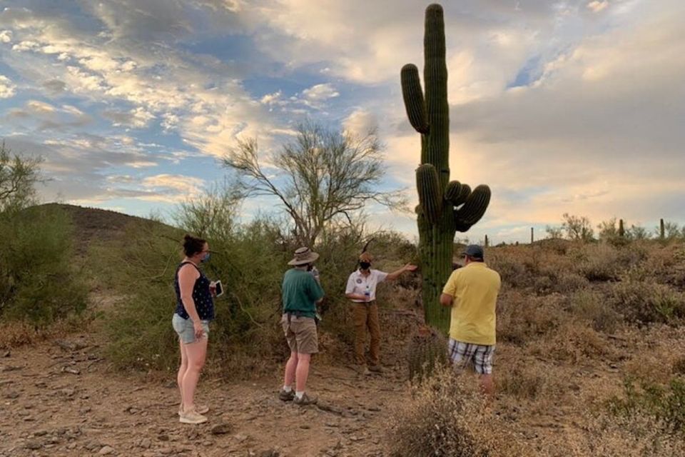 Scottsdale: McDowell Sonoran Preserve Hiking Tour - FAQs