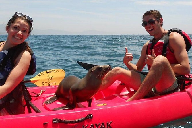 Sea Lion Kayak Tour - Santa Barbara Harbor
