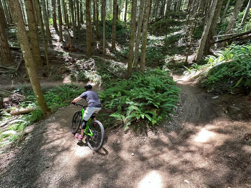 Seattle: Half Day All-Inclusive Mountain Bike Tour - Exploring the Trail Experience