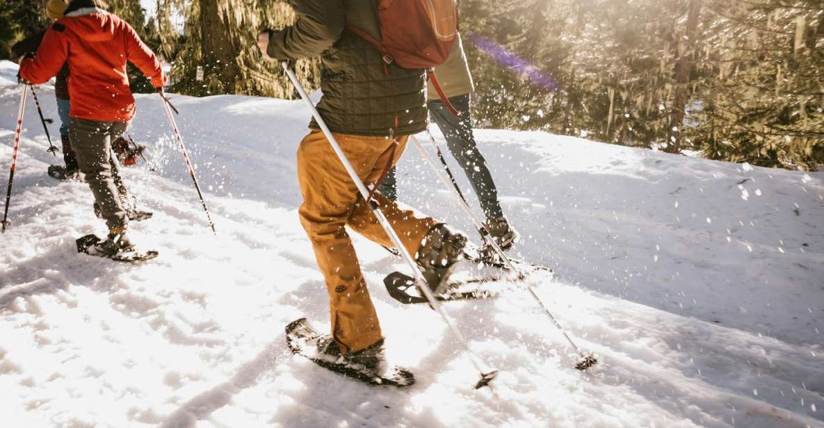 Seattle: Longmire in Mount Rainier Winter Day Tour - FAQs about the Longmire in Mount Rainier Winter Day Tour