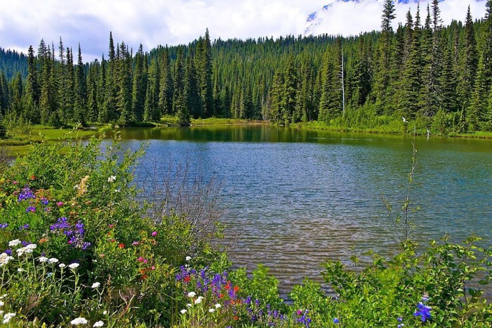 Seattle: Mount Rainier Park All-Inclusive Small Group Tour - Final Words