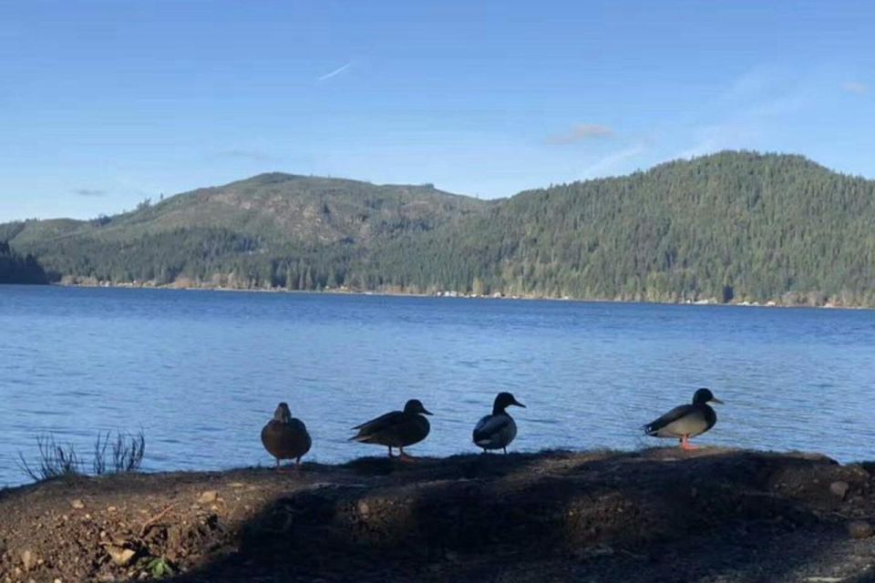 Seattle: Olympic National Park Day Tour with Scenic Ferries - Value and Practical Considerations