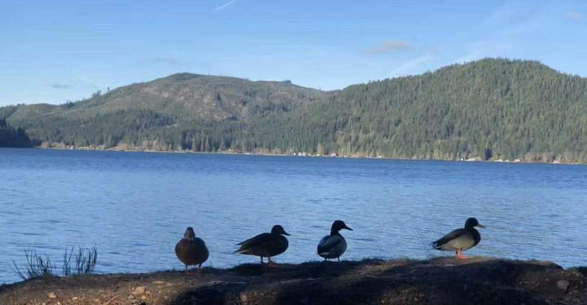 Seattle: Olympic National Park Day Tour with Scenic Ferries - Who Is This Tour Best For?