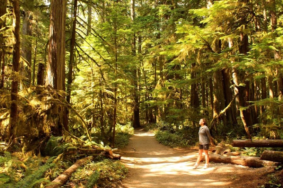 Seattle: Olympic National Park Small-Group Tour - Key Points