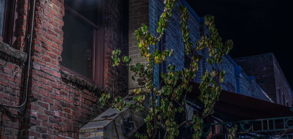 Seattle: Terrors and Ghosts Guided Walking Tour - Key Points