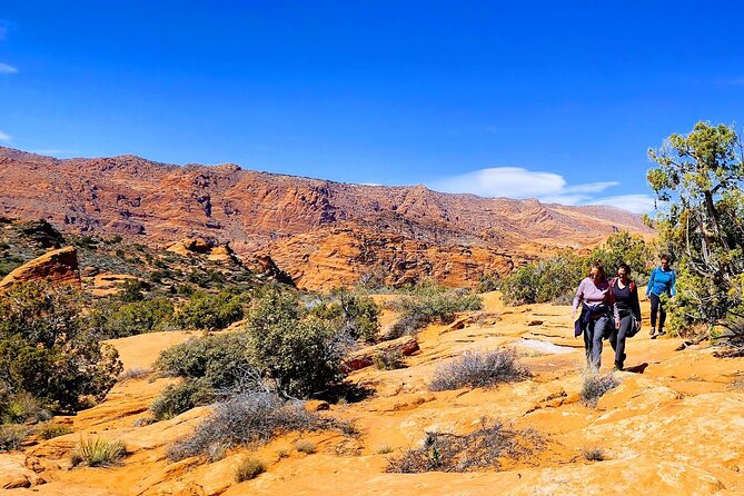 Secret Petroglyphs Hike Adventure - Practical Details and What You Need to Know