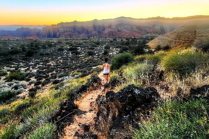 Secret Petroglyphs Hike Adventure - Who Will Love This Tour?