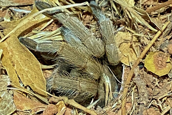 Sedona Dark Sky Sunset & Night Hike Adventure With a Private Guide - The Sum Up