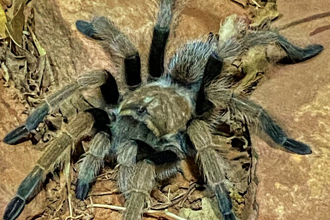 Sedona Dark Sky Sunset & Night Hike Adventure With a Private Guide - FAQ