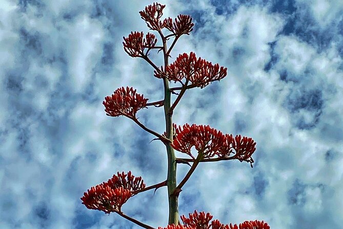 Sedona Sacred Canyons Loop Hike With a Private Guide - Transportation and Parking