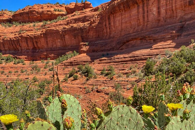 Sedona Sacred Canyons Loop Hike With a Private Guide - Flexibility and Cancellation Policy