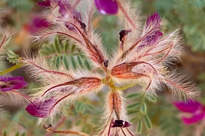 Sedona Sacred Canyons Loop Hike With a Private Guide - Authentic Experiences from Reviews