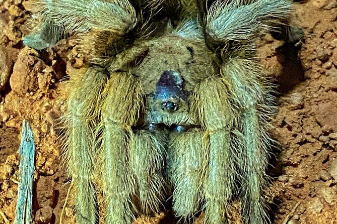 Sedona Sacred Canyons Loop Hike With a Private Guide - Final Thoughts on Value and Suitability