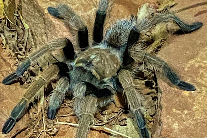 Sedona Sneak-a-Peak Hike With a Private Guide - Final Word