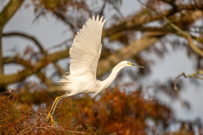 See the real Florida with a Private Nature and Wildlife Boat Tour