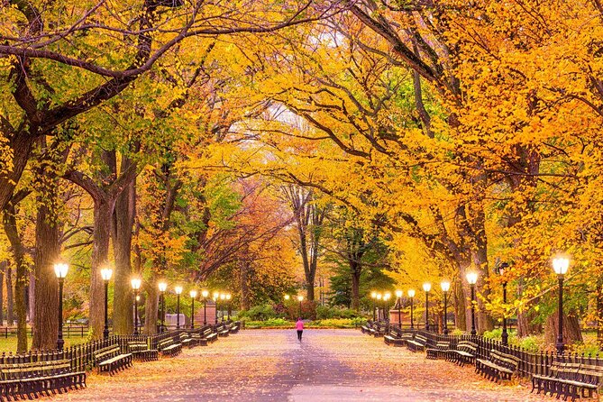 Self Guided "Central Park Movie Tour" Solo Walking Tour in New York City - Introduction