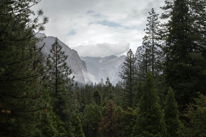 Sequoia Full Day Private Tour and Hike - Deep Dive into the Itinerary