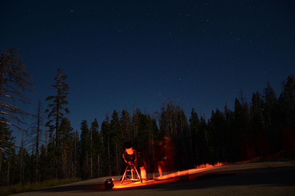 Sequoia National Park: Sherman Tree & Congress Trail Walk - A Closer Look at the Experience