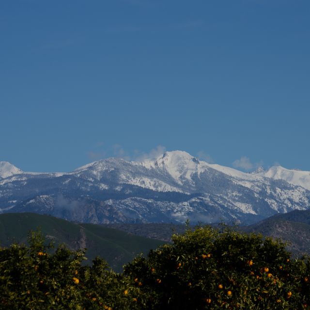 Sequoia National Park: Sherman Tree & Congress Trail Walk - The Experience in Detail