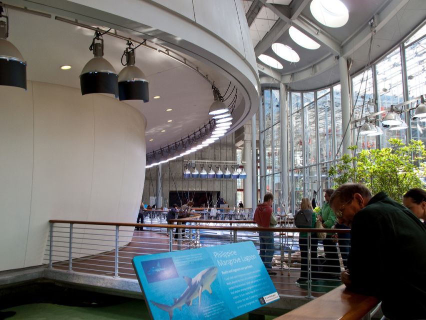 SF: CA Academy of Sciences & Hop-on Hop-off Tour (Save 15%) - An In-Depth Look at the Tour