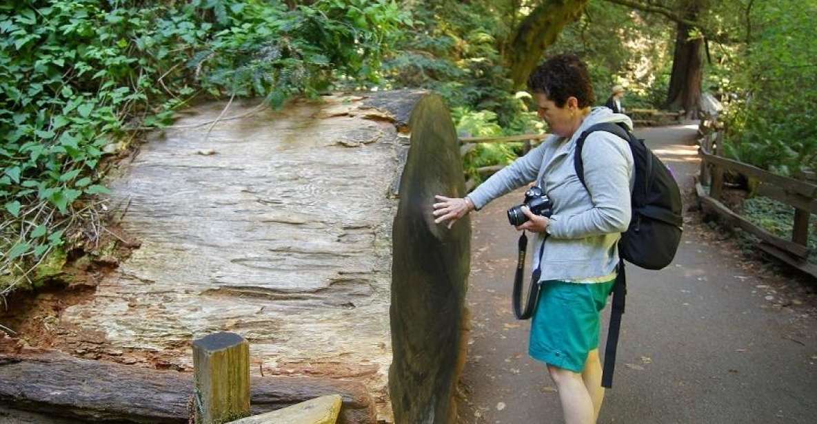 SF: Guided Muir Woods Tour & Hop-On Hop-Off Tour (Save 15%) - Experience the Best of San Francisco and Muir Woods in One Day