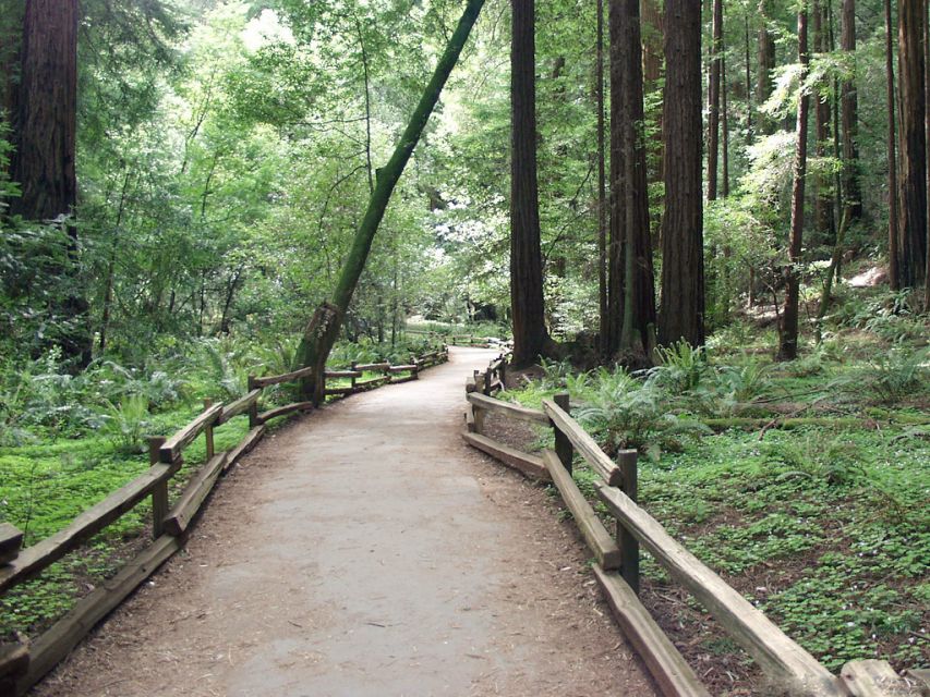 SF: Guided Muir Woods Tour & Hop-On Hop-Off Tour (Save 15%) - FAQ