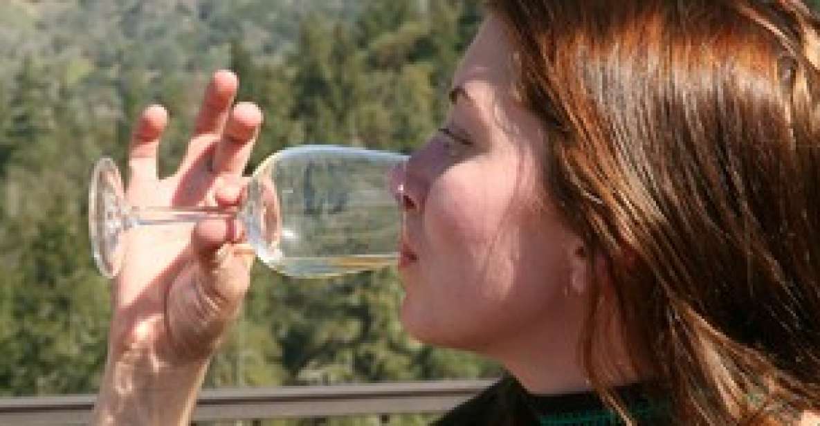 SF: Napa & Sonoma Wine Tour & Hop-on Hop-off Tour (Save 15%) - Exploring the SF & Wine Country Combo: Is It Worth It?