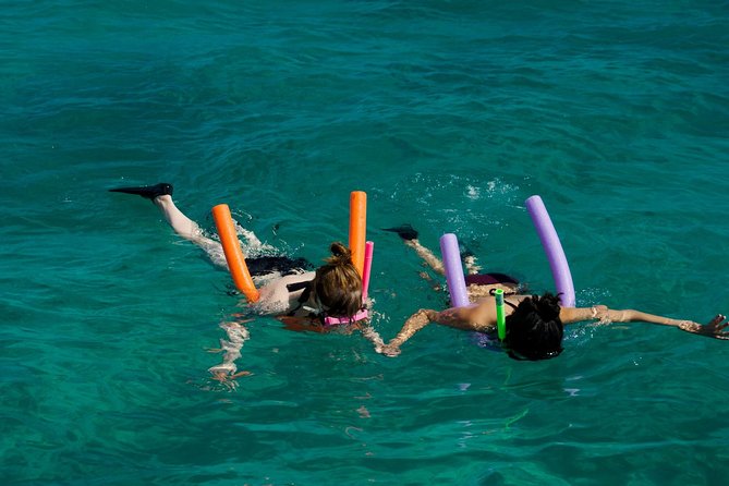Shallow Water Snorkeling and Dolphin Watching in Key West