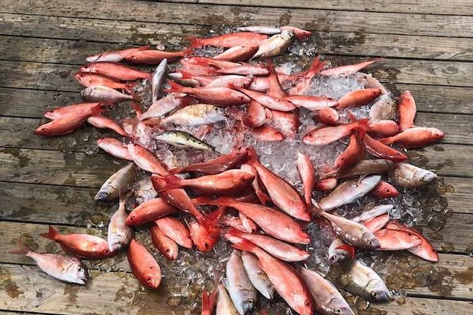 Shared Deep Sea Fishing Trip from Destin - Exploring the Shared Deep Sea Fishing Trip from Destin: An Honest Review