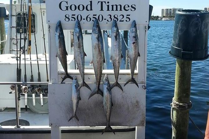 Shared Deep Sea Fishing Trip from Destin - Itinerary Breakdown