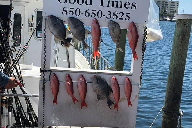 Shared Deep Sea Fishing Trip from Destin - Value for Money
