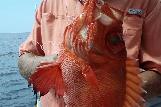 Shared Deep Sea Fishing Trip from Destin - Who Should Consider This Tour?