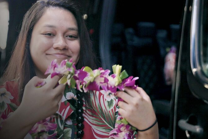 Shared Round-Trip Transfer: Honolulu Airport to Hotel or Cruise Terminal