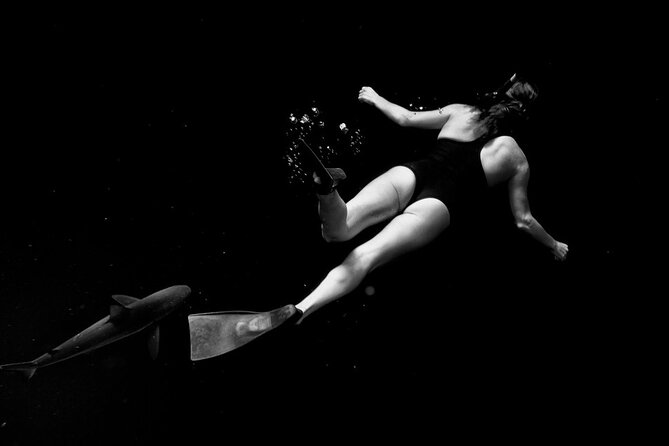 Shark-Dive Tour on Oahu's North Shore - Practical Details About the Tour