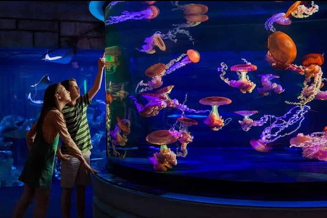 Shark Reef at Mandalay Bay Hotel and Casino - Pricing and Value