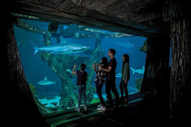 Shark Reef at Mandalay Bay Hotel and Casino - FAQ