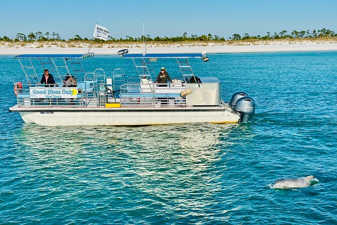 Shell Island Dolphin Sightseeing Boat Tour in Panama City Beach