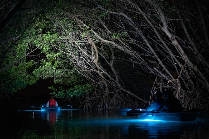 Shell Key Clear Kayak Sunset & Glow Tours - Authentic Insights from Reviewers