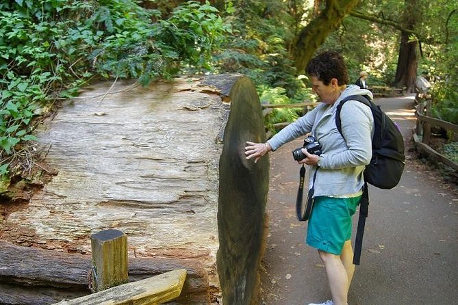 Shore Excursion: Guided Tour to Muir Woods with Roundtrip Journey - Who Will Love This Tour?