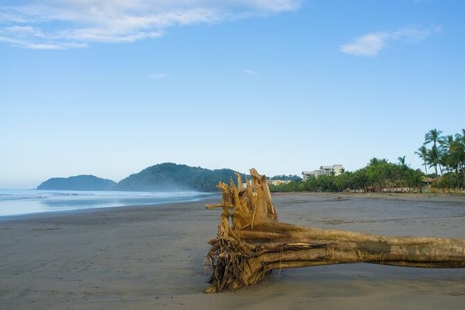 Shuttle From San Jose Airport To Jaco Beach or From Jaco Beach - The Sum Up