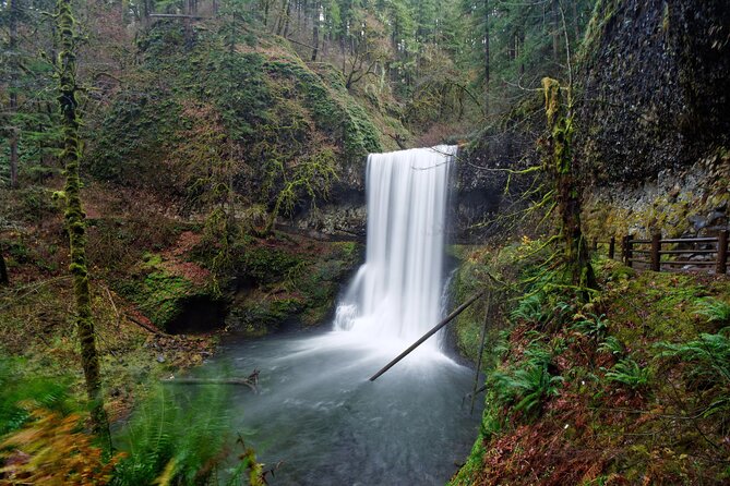 Silver Falls Private Hike Tour - What’s Included and How It Works