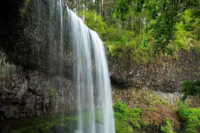 Silver Falls Private Hike Tour - What Travelers Are Saying