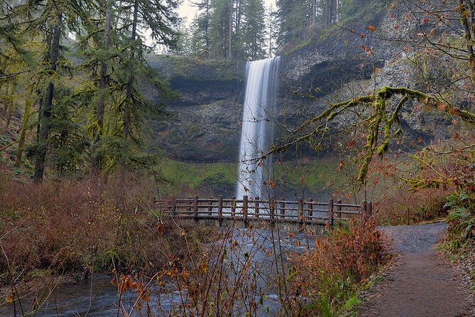 Silver Falls Private Hike Tour - Who Should Consider This Tour?