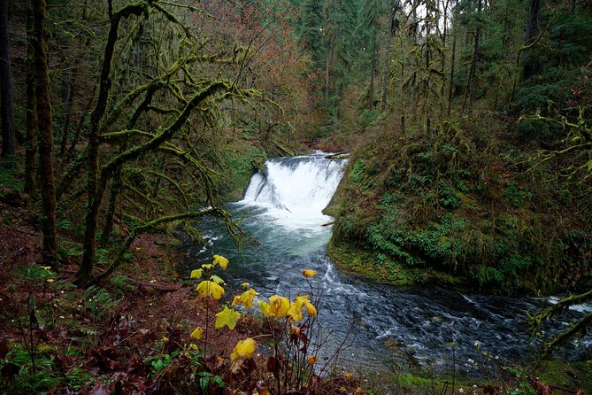Silver Falls Private Hike Tour - FAQ