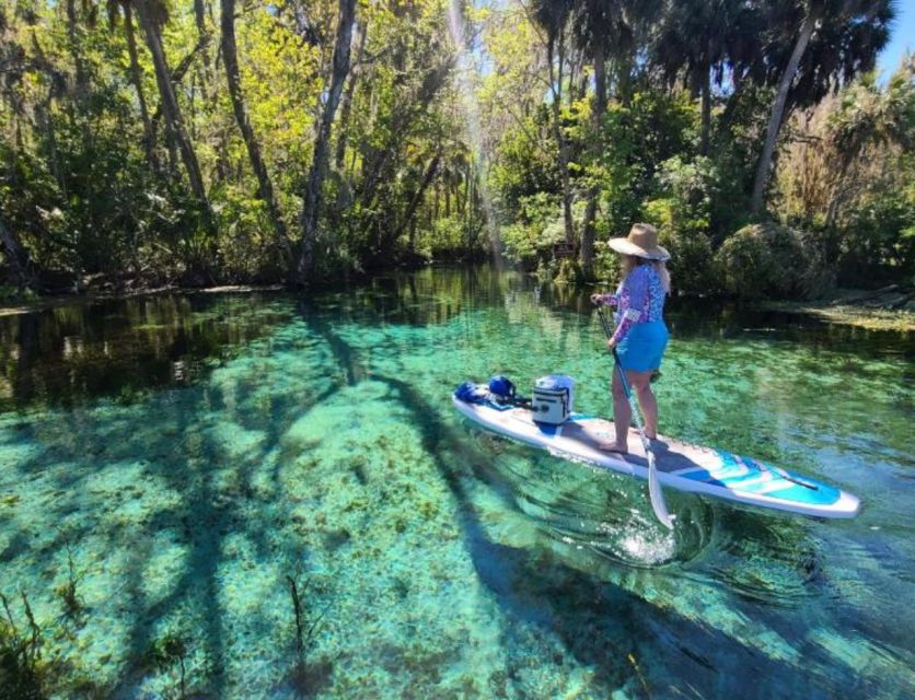 Silver Springs: Manatees and Monkeys Clear Kayak Guided Tour - An In-Depth Look at the Tour Experience