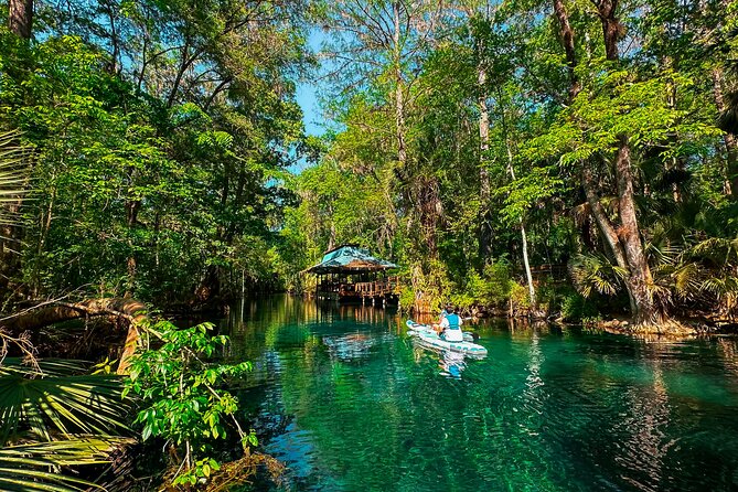Silver Springs Paddle Adventure - A Deep Dive into the Silver Springs Paddle Adventure