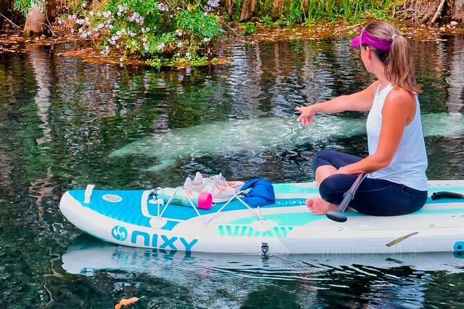 Silver Springs Paddle Adventure - Final Thoughts: Is It Worth It?