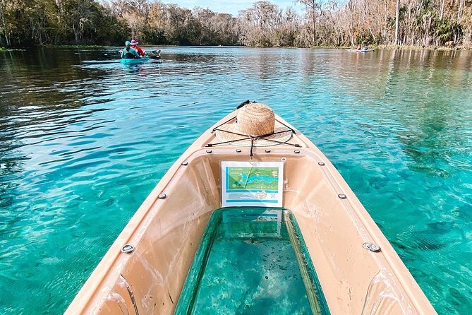 Silver Springs Wildlife Tour - Glass Bottom Kayaks